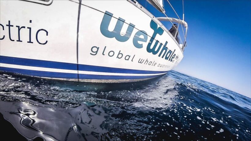 Denia: Whale and Dolphin Watching Morning Experience - FAQ