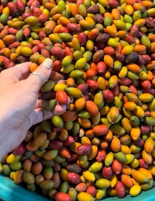 Denpasar Night Market Food Tour - Final thoughts: Is this tour right for you?