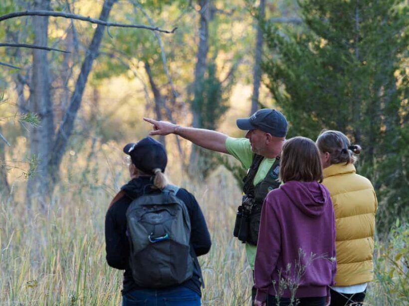 Denver: Birding Basics and Beyond - Key Points