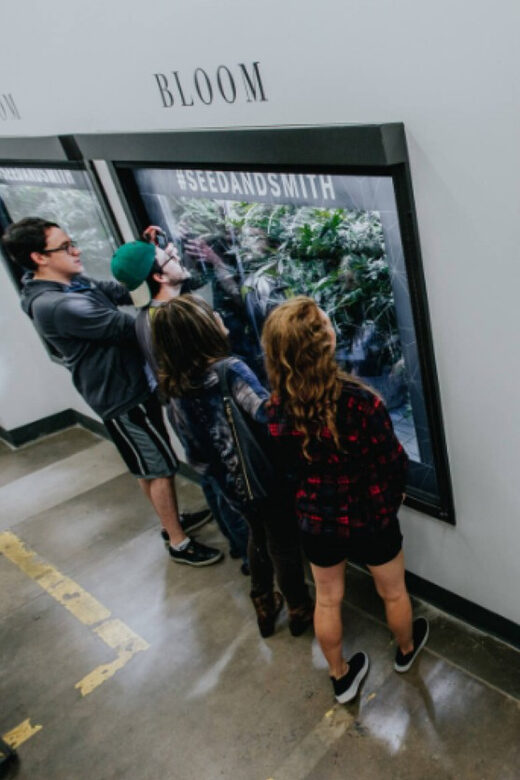 Denver: Buds & Brews Cannabis Grow Tour and Brewery Visit - Real-World Feedback