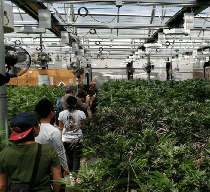 Denver: Buds & Brews Cannabis Grow Tour and Brewery Visit - Final Thoughts