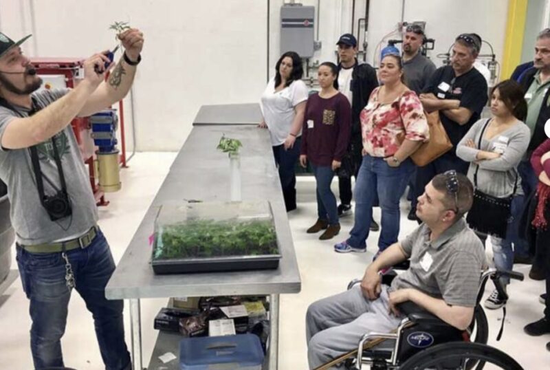 Denver: Cannabis Tour with Grow Facility Access - Transportation and Group Size