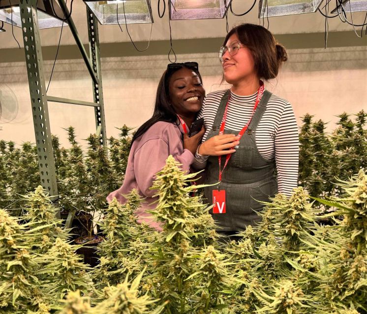 Denver: Cannabis Tour with Grow Facility Access - FAQ
