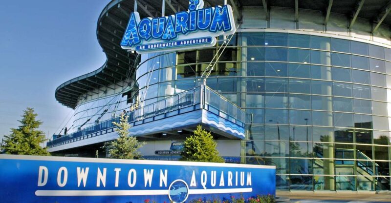 Denver: Downtown Aquarium All-Day Pass - Family Fun at the Aquarium