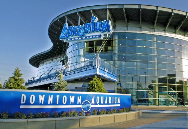 Denver: Downtown Aquarium All-Day Pass - The Experience: What To Expect
