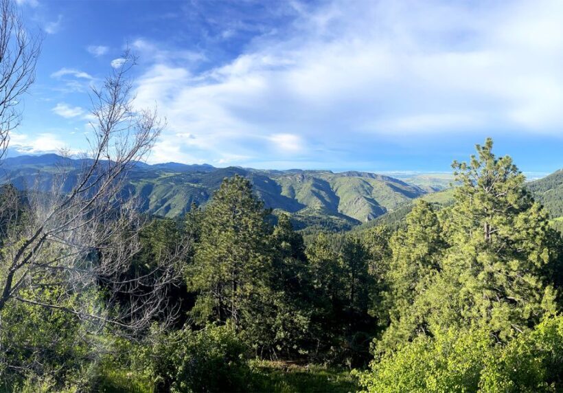 Denver: Get High on a Mountain Tour with Sunset Views - Key Points