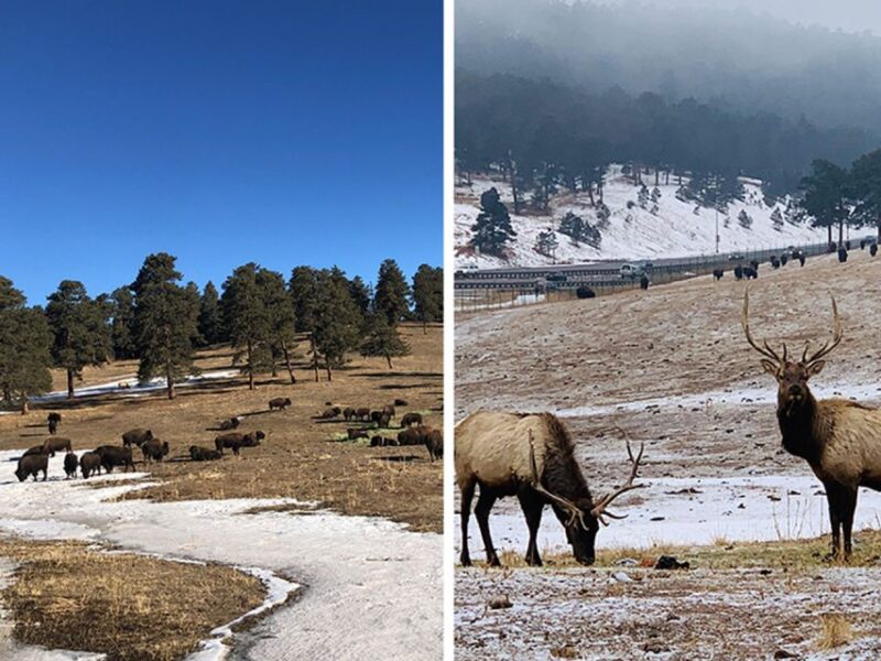 Denver: Get High on a Mountain Tour with Sunset Views - Transportation and Group Size