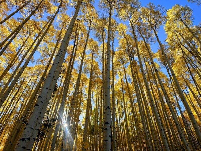 Denver: Guided Hiking Tour & Mountain Town Exploration - Key Points