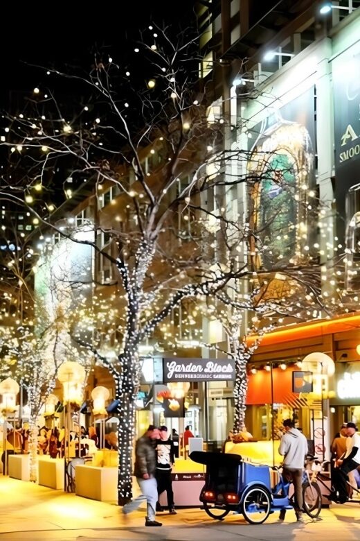 Denver: Holiday Lights & Sights Bus Tour - What to Expect and Why It Matters