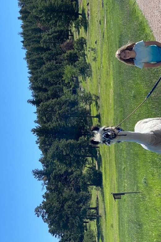 Denver: Llama Hike in the Rocky Mountains - An In-Depth Look at the Rocky Mountain Llama Hike