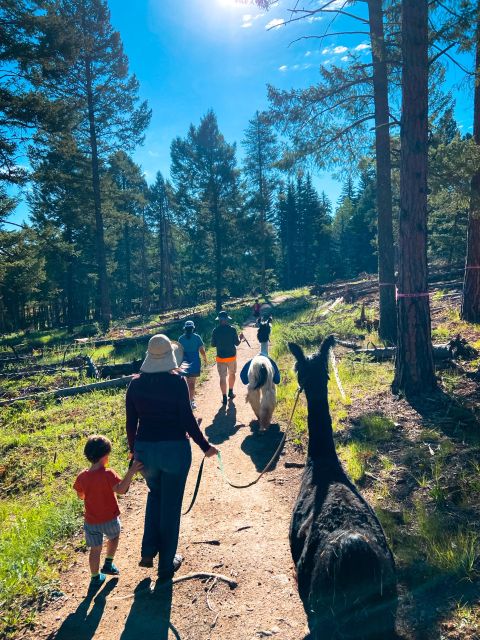 Denver: Llama Hike in the Rocky Mountains - Key Points
