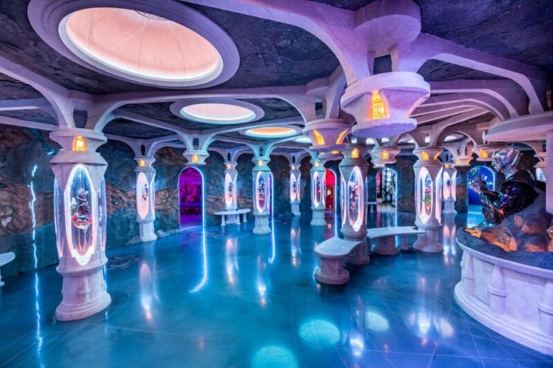 Denver: Meow Wolf Convergence Station Ticket - Key Points