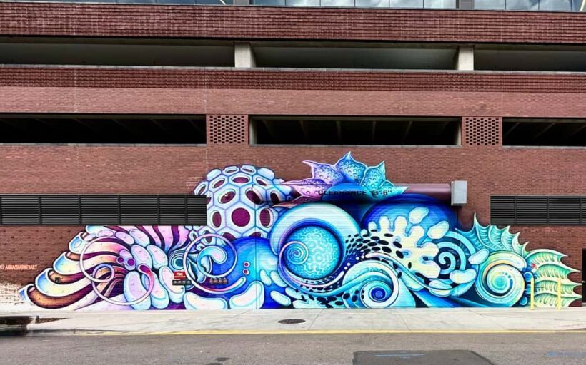 Denver: North RiNo Art District Graffiti and Street Art Tour - Exploring Denver’s Urban Art Scene: What to Expect