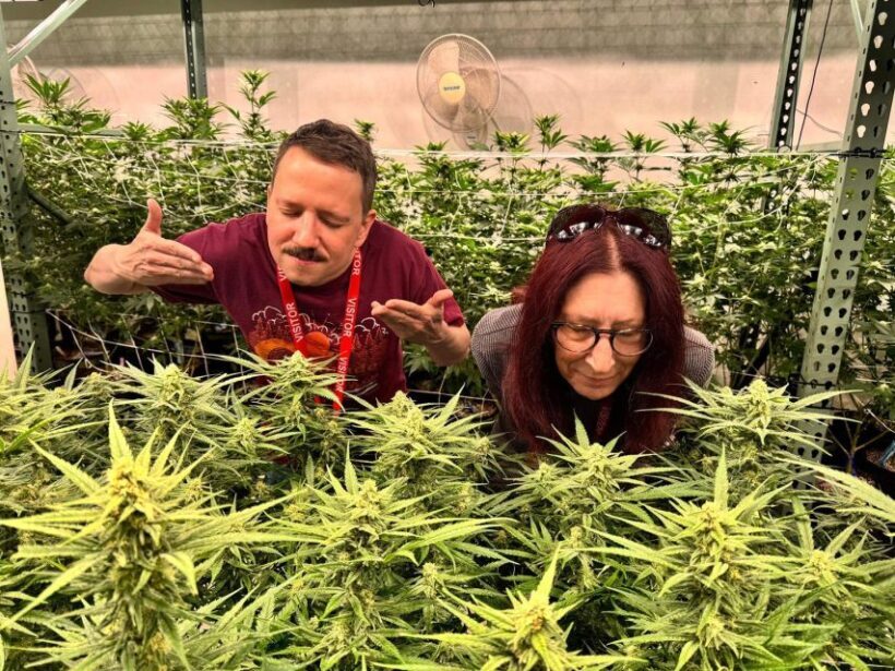 Denver: Private Luxury Cannabis Tour - Final Thoughts