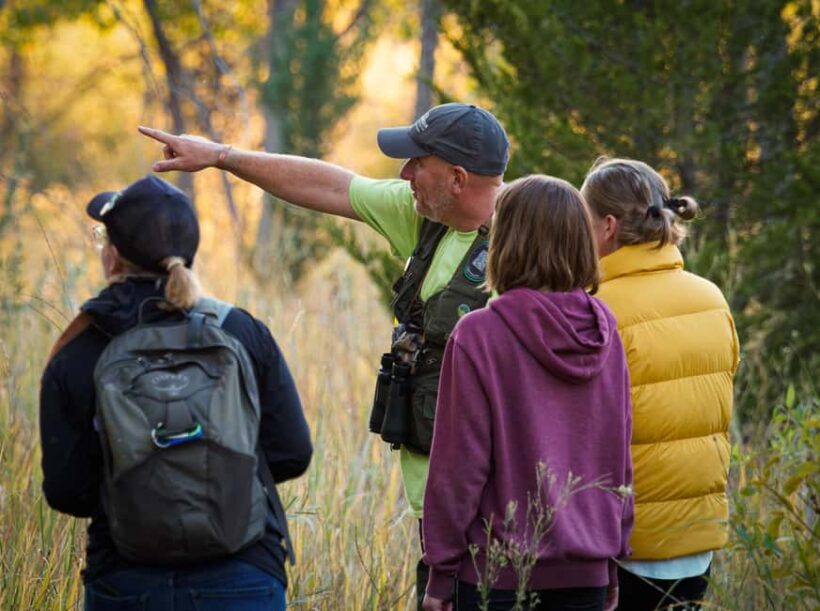 Denver: Private Rocky Mountain National Park Wildlife Tour - Exploring the Itinerary and Experience