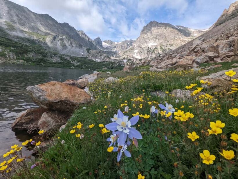 Denver: Private Rocky Mountain National Park Wildlife Tour - Who Will Love This Tour?