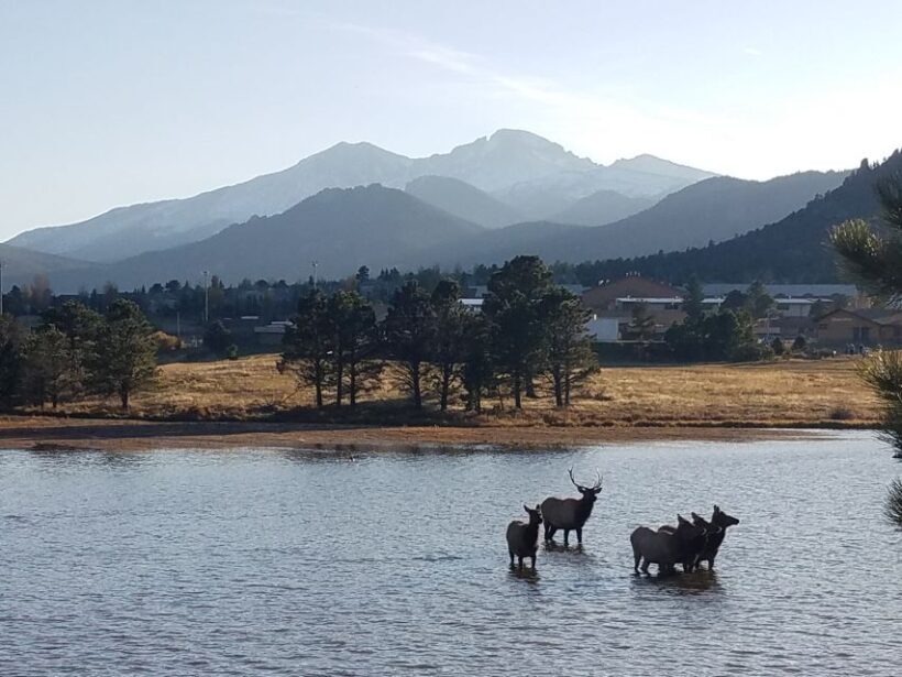 Denver: Rocky Mountain National Park Tour with Picnic Lunch - Final Thoughts: Who Will Love This Tour?