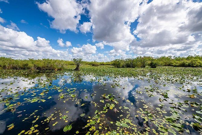 Depart from Miami to discover the Everglades with Airboat tour included! - Authentic Experiences and Authentic Insights