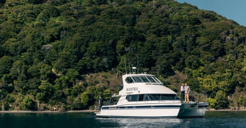 Depart Picton: Marlborough Sounds Afternoon Seafood Cruise - Key Points