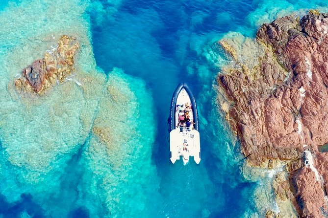 Depart Saint Raphaël: Meet the Dolphins - Accessibility and Recommendations