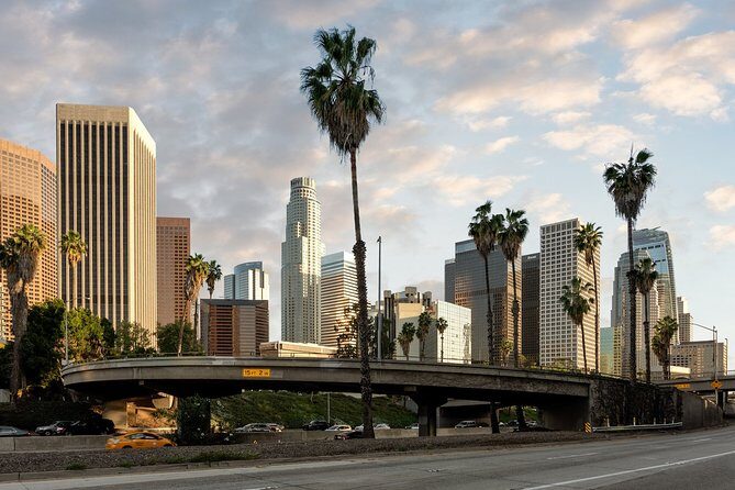 Departure Private Transfer: Los Angeles to Airport LAX in Luxury SUV - What Makes This Private Transfer Stand Out?