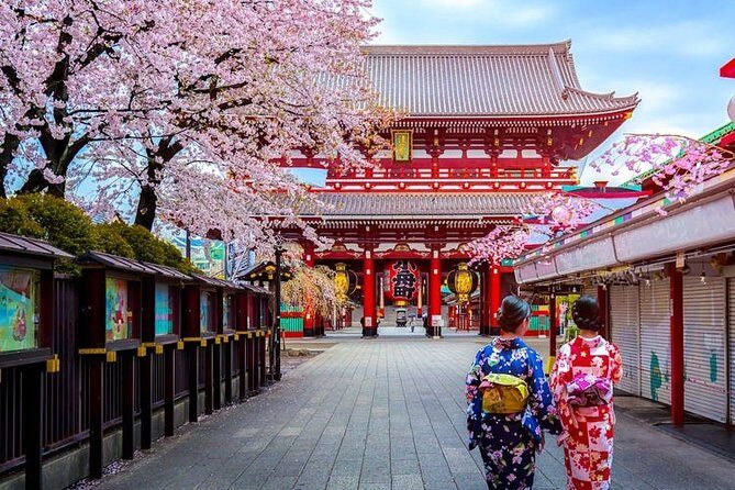 Departure Private Transfer: Tokyo to Haneda Airport HND in Sedan - Introduction: Making Airport Transfers Less of a Hassle