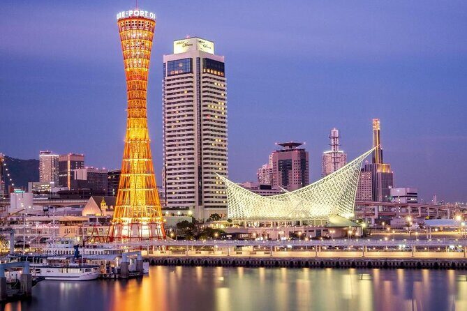 Departure Private Transfers from Kobe City to Kobe Airport UKB in Business Car - The Vehicle & Experience