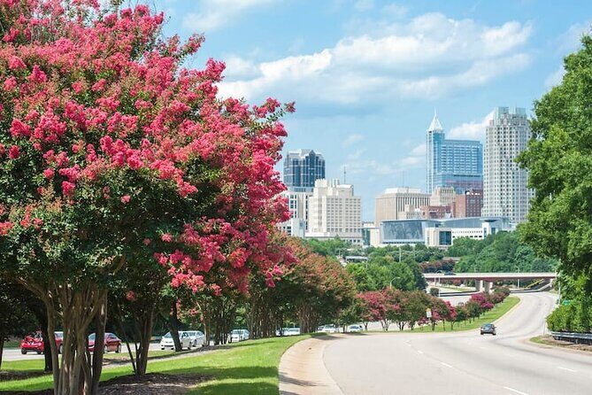 Departure Transfer: Charlotte to Charlotte Douglas Airport CLT in Business Car - Final Thoughts