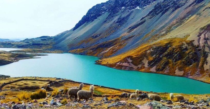 Desde Cusco: Tour Ausangate 7 Lagunas 1 dia. - Key Points