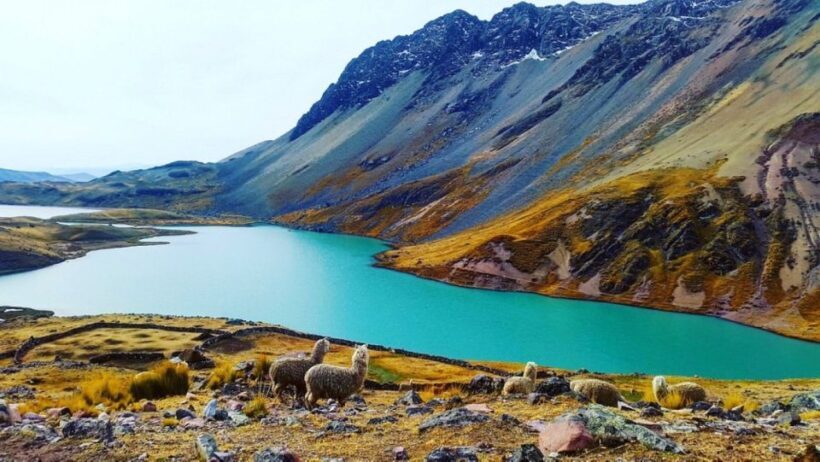 Desde Cusco: Tour Ausangate 7 Lagunas 1 dia. - An In-Depth Look at the Ausangate 7 Lagunas Tour