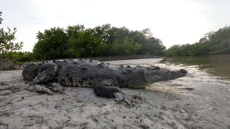 Desde Holbox: SunSea- SUNSET Kayak - An In-Depth Look at the Sunset Kayak Tour