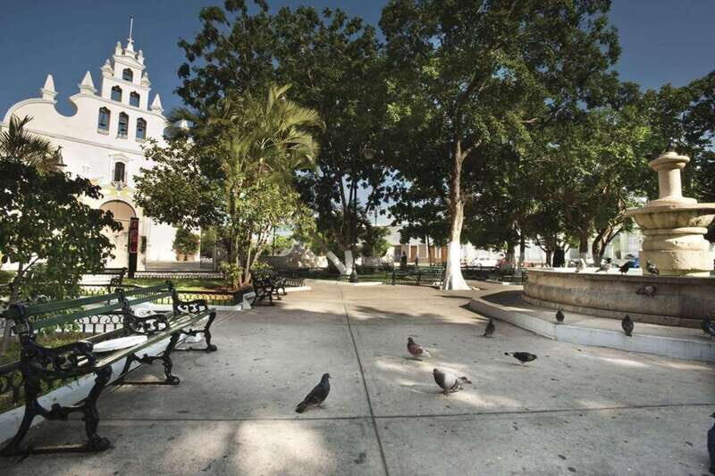 Desde Mérida: City Tour Mérida - Potential Drawbacks