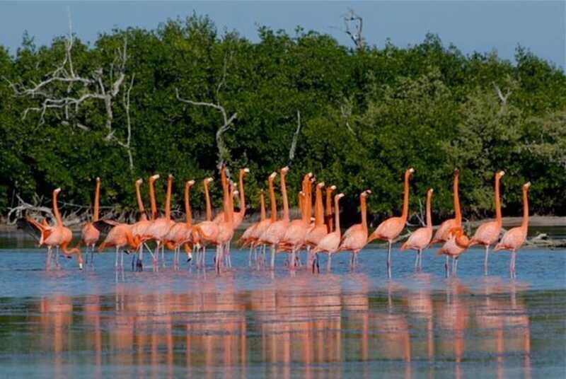 Desde Mérida: El Manantial de Sisal - Exploring the Tour: A Rich Blend of Nature, History, and Local Flavor