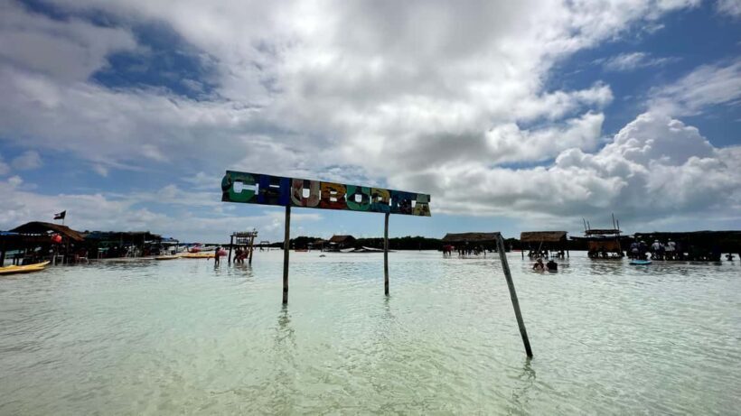 Desde Merida: Isla columpios - Practical Tips for Making the Most of Your Day