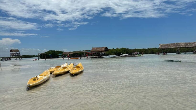 Desde Merida: Isla columpios - The Sum Up