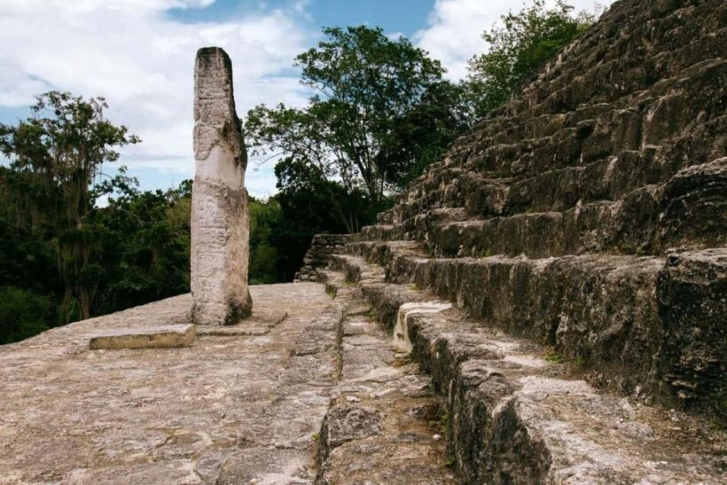 Desde Palenque: Zona Arqueológica Calakmul - The Sum Up