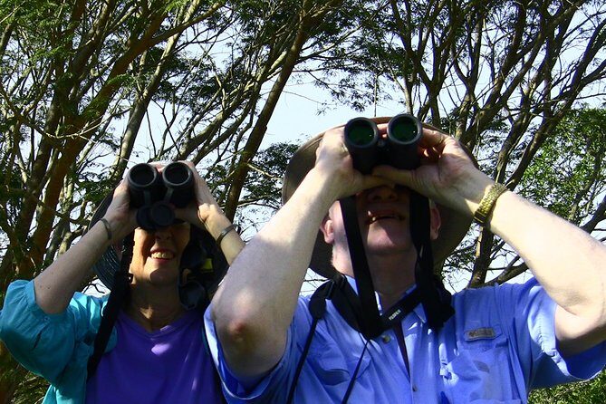 Desembocada and Ameca River Bird Paradise (Wetland and Tropical birds in PV) - FAQs