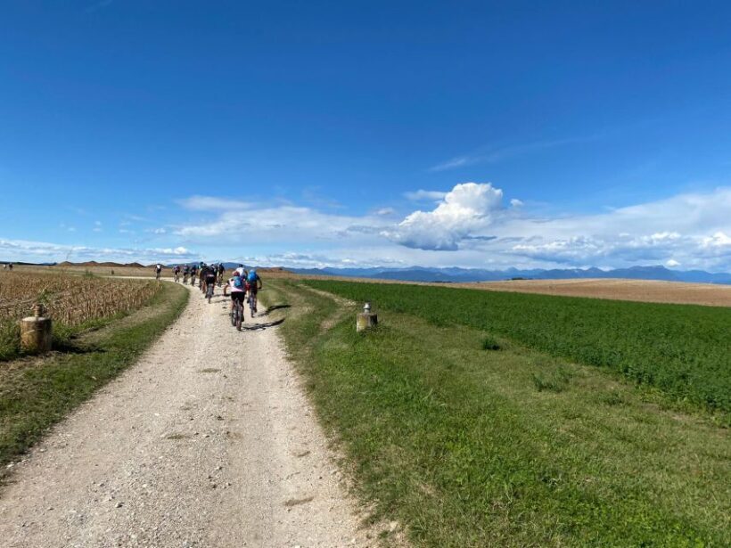 Desenzano: e-Bike Tour with Wine Tasting - Who Is This Tour Best For?