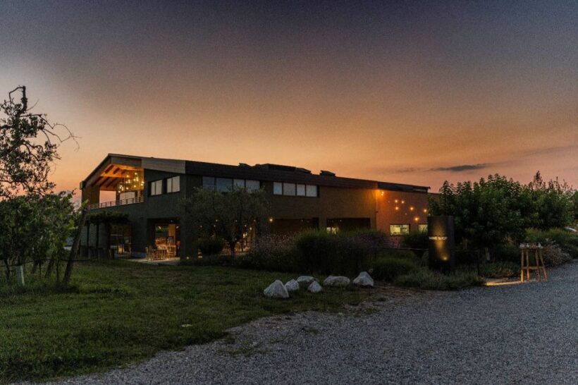 Desenzano: Lugana Wine-Tasting and Vineyard Tour - An In-Depth Look at the Vineyard Tour Experience