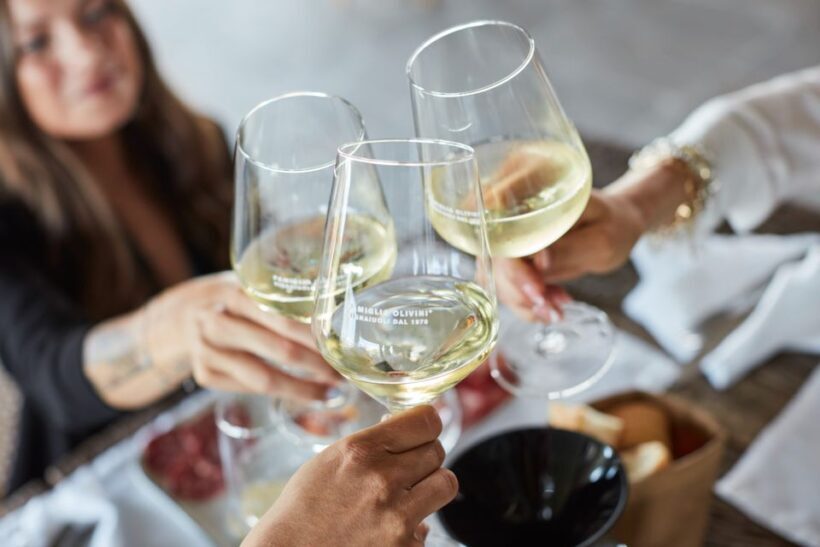 Desenzano: Lugana Wine-Tasting and Vineyard Tour - The Sum Up