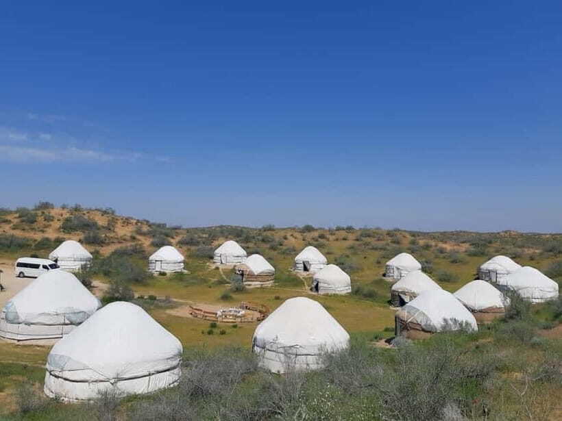 Desert Adventure from Samarkand: Yurt Camp & Aydarkul Escape - A Deep Dive into the Two-Day Desert Experience