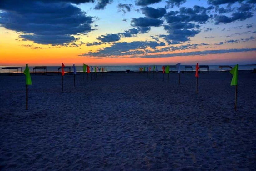 Desert Adventure from Samarkand: Yurt Camp & Aydarkul Escape - Final Thoughts: Who Will Love This Tour?