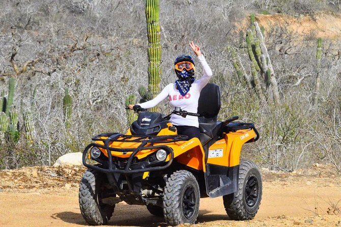 Desert and Beach ATV Tour in Los Cabos - Discovering the Baja Landscape: What You Can Expect