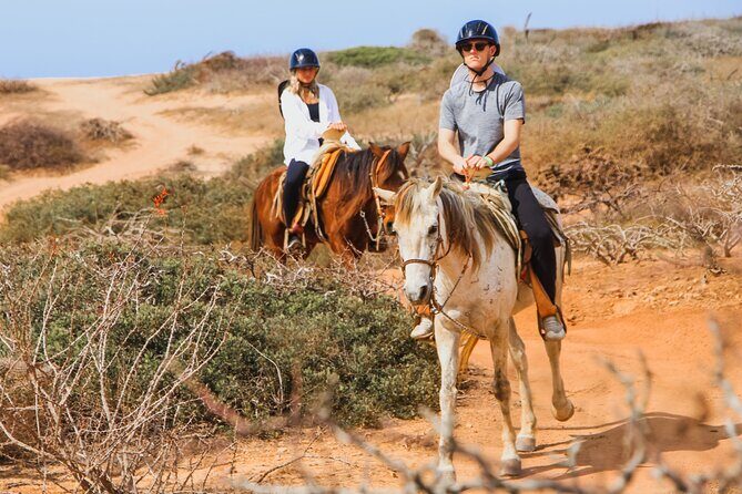 Desert and Beach Horseback Riding Experience in Cabo - A Closer Look at the Cabo Horseback Riding Experience