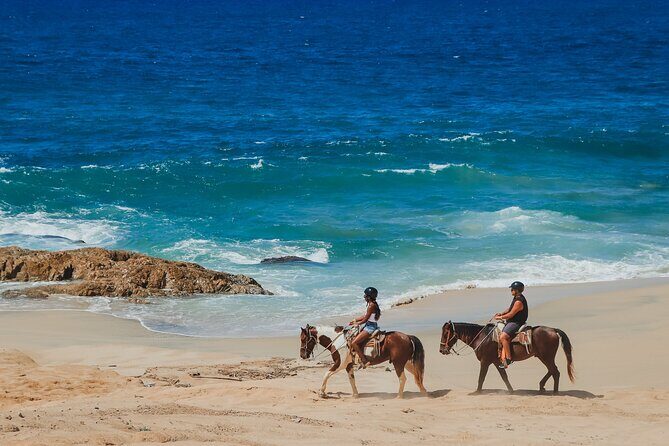 Desert and Beach Horseback Riding Experience in Cabo - Final Thoughts: Who This Tour Is Best For