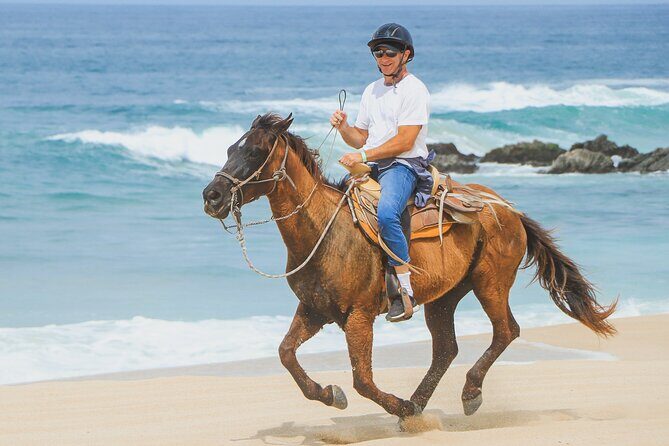 Desert and Beach Horseback Riding Experience in Cabo - FAQ