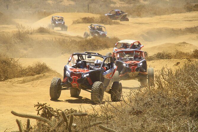 Desert and Beach Off Road Tour in Cabo San Lucas - The Vehicles and Terrain: Why It Matters