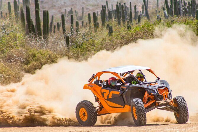 Desert and Beach Off Road Tour in Cabo San Lucas - What’s Included and What’s Not
