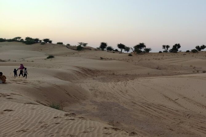 Desert Camel & Jeep Safari Private Tour From Jodhpur - Practical Details and Value Analysis