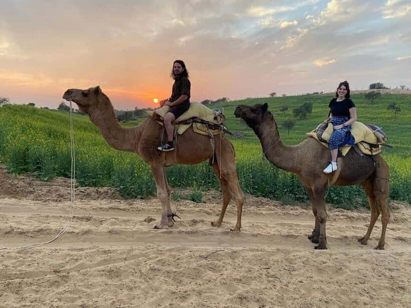 Desert Camel Safari Day Trip From Jodhpur - Analyzing the Value: Is It Worth $31?